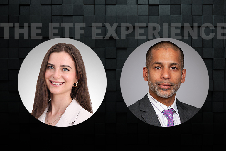 TDAM | Main Landing Page