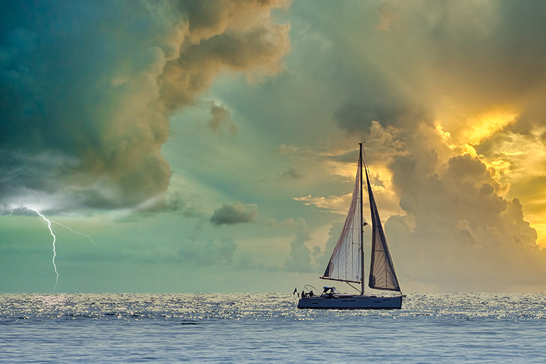 TDAM | Main Landing Page