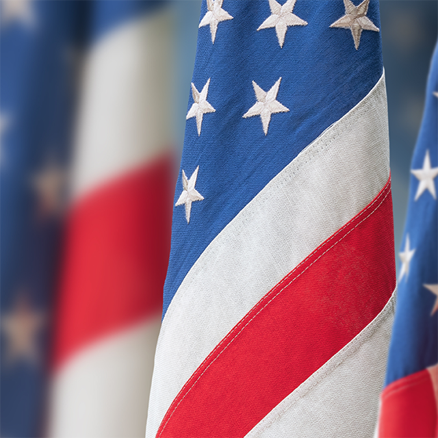 TDAM | Main Landing Page